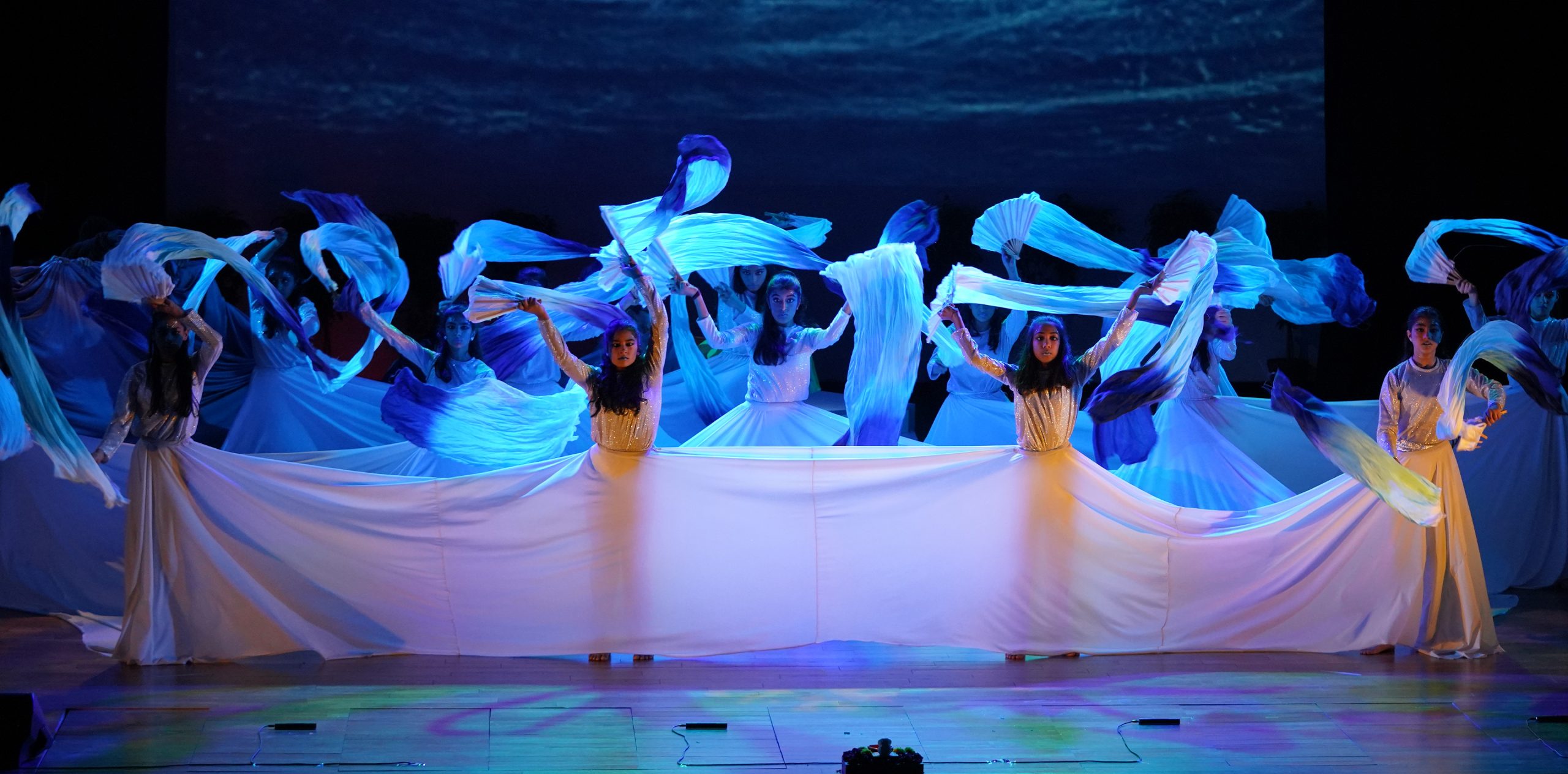 Performing Arts and Visual Arts- Step By Step School Noida